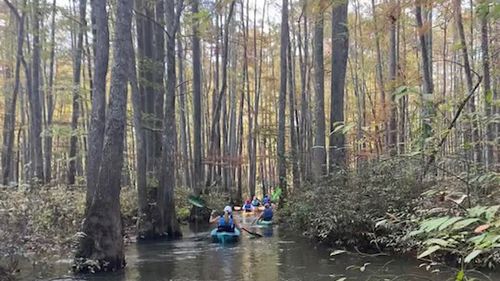 Join the Neshoba Circle Today... Preserve the Wolf for Countless Tomorrows | Wolf River Conservancy